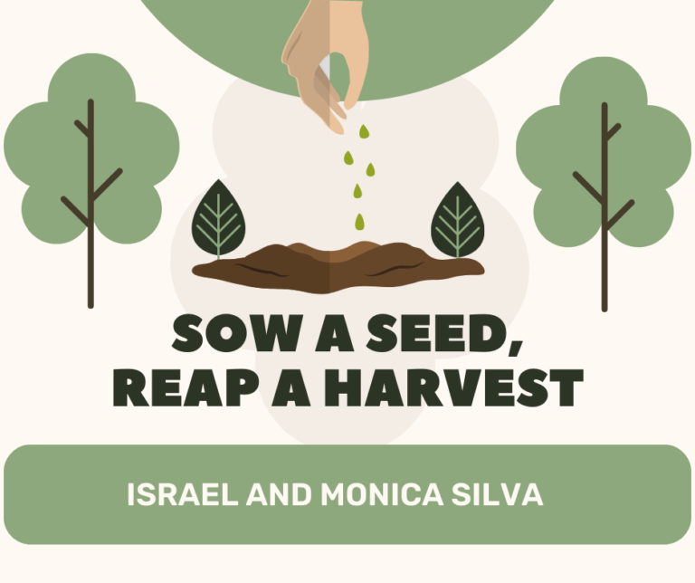 Sow a Seed Reap a Harvest